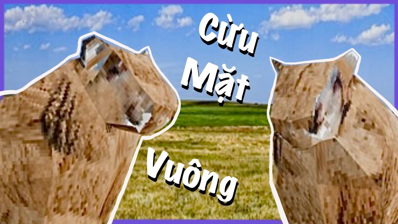 Khi Là Chủ Trại Cừu - My Dear Sheep - YouTube