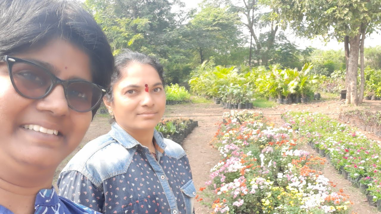 #Maya Nursery Dhule #माया नर्सरी धुळे 🌸💮🏵🌹🥀🌺🌻🌼🌷⚘🌱🌲🌳🌴🌵🌾🌿☘🍀🍁🍂🍃 - YouTube