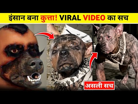 Toco Japanese Dog Man Video | Aadmi Bana Kutta News Real Or Fake | Insaan Bana Kutta 220 Crore
