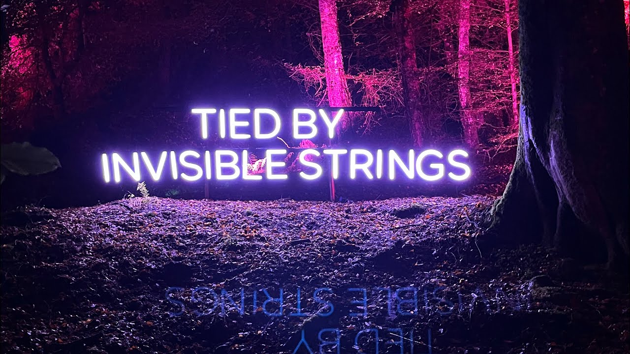 Perth Scotland Stunning Light Show 4K Enchanted Forest / Forest Wonders ...