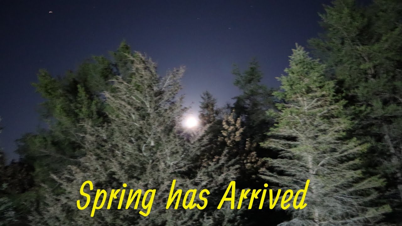 Spring Life in Wisconsin part 9 | Spring Arrived - YouTube