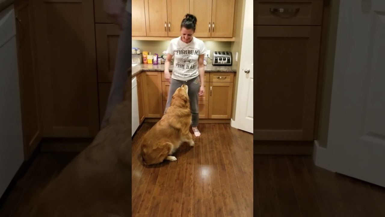 SQUAT YOUR DOG CHALLENGE. - YouTube