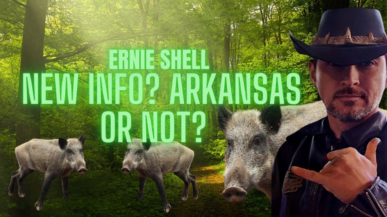 Just a little new information for the Ernie Shell enthusiasts….. - YouTube
