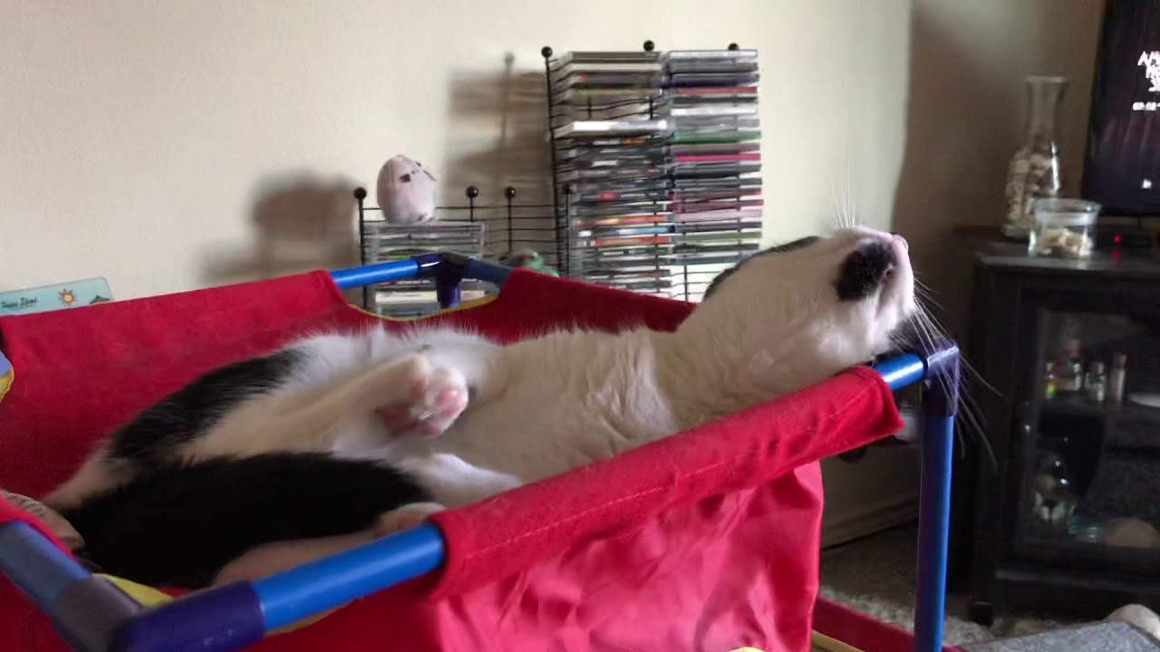 I’m so cute October 2019 - YouTube
