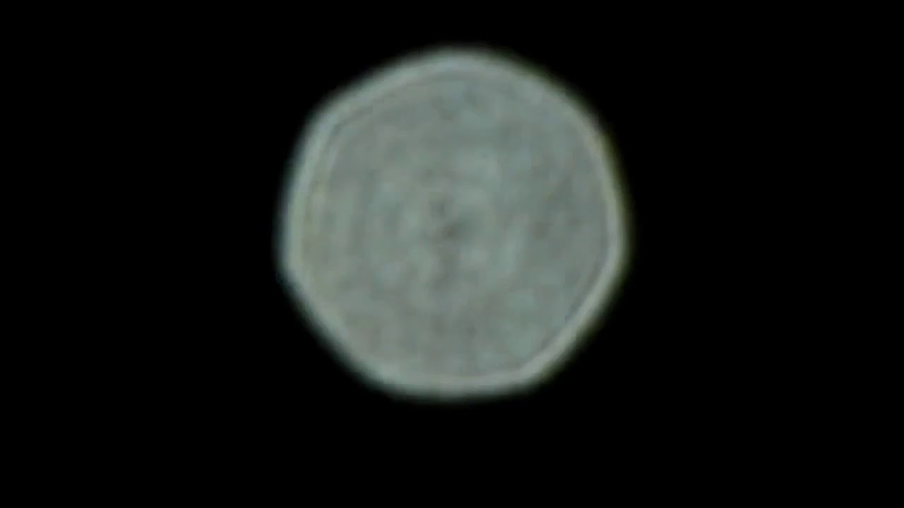 Flat Earth Proof Nikon p1000 stars - YouTube
