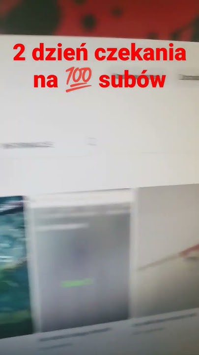 2 Dzie艅 Czekania Na 馃挴 Sub贸w Youtube