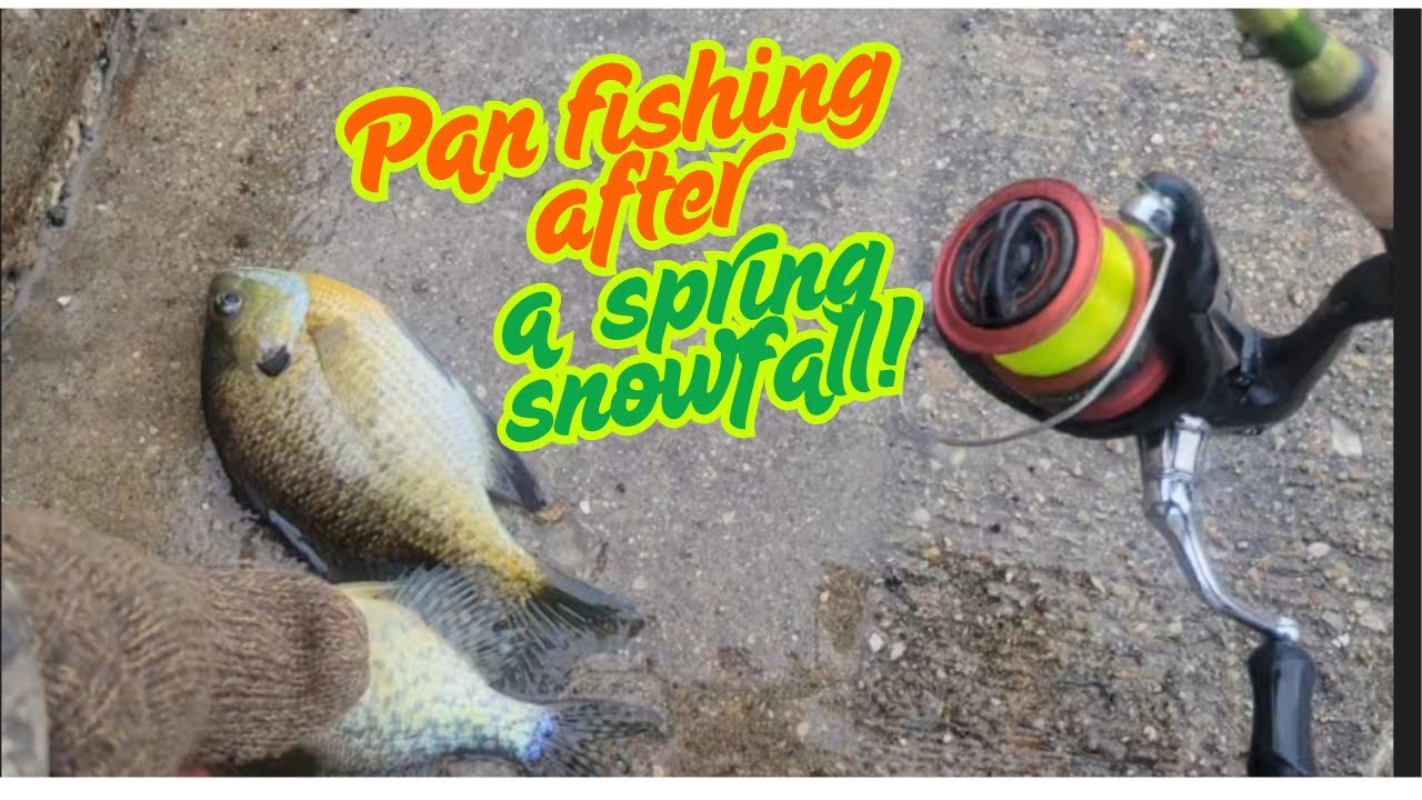 Pan fishing after a spring snowfall - YouTube
