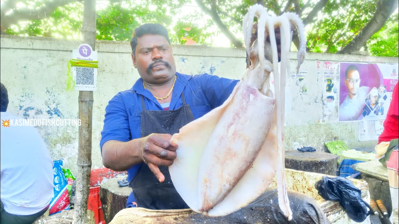 KASIMEDU💥SPEEDSELVAM BIG😱SIZE KADAMA FISH CUTTING VIDEO/ # ...