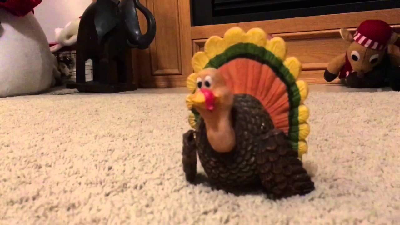 Turkey Tom! - YouTube