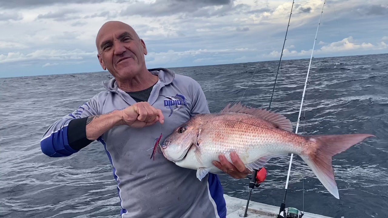 💥BIG RED SNAPPERS MID NORTH COAST💥 - YouTube