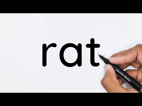 how to convert word "rat" into rat cartoon easy step by step tutorial ...