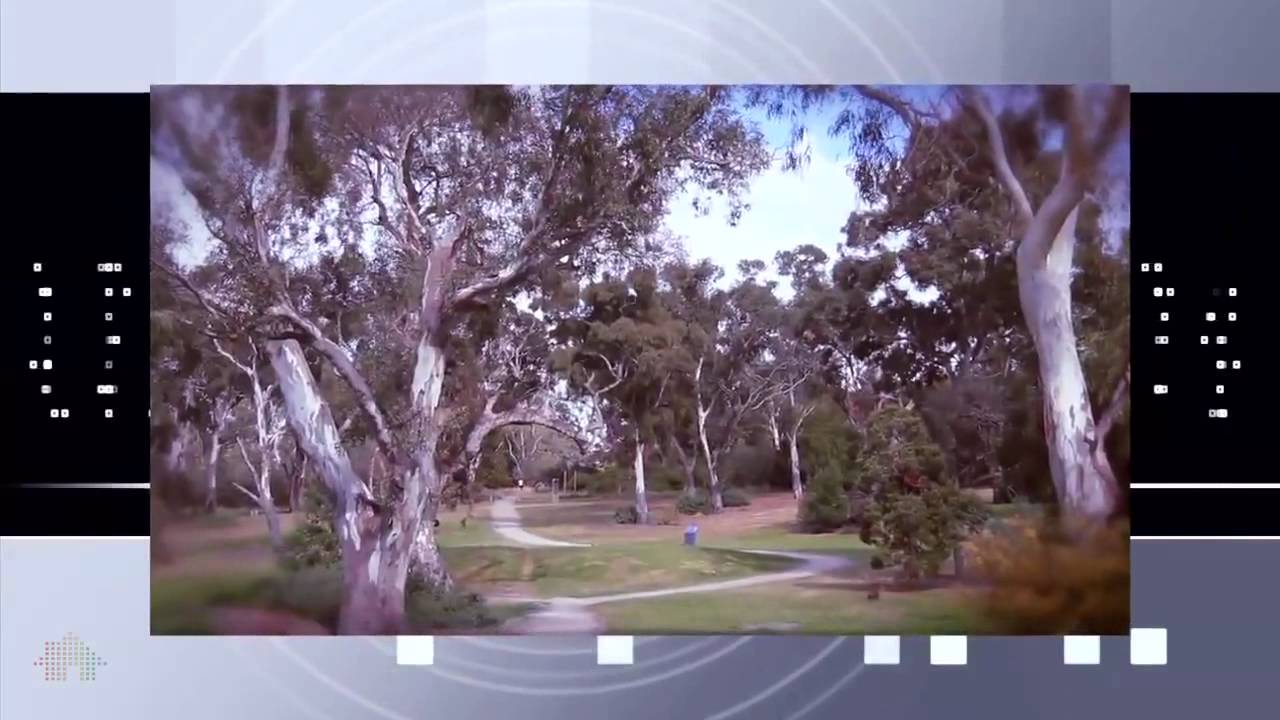 Essendon Suburb Profile.mov.mp4 - YouTube