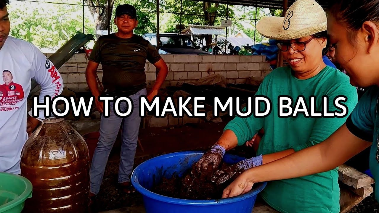 Mud Balls: The Key to Saving an Entire Ecosystem - YouTube