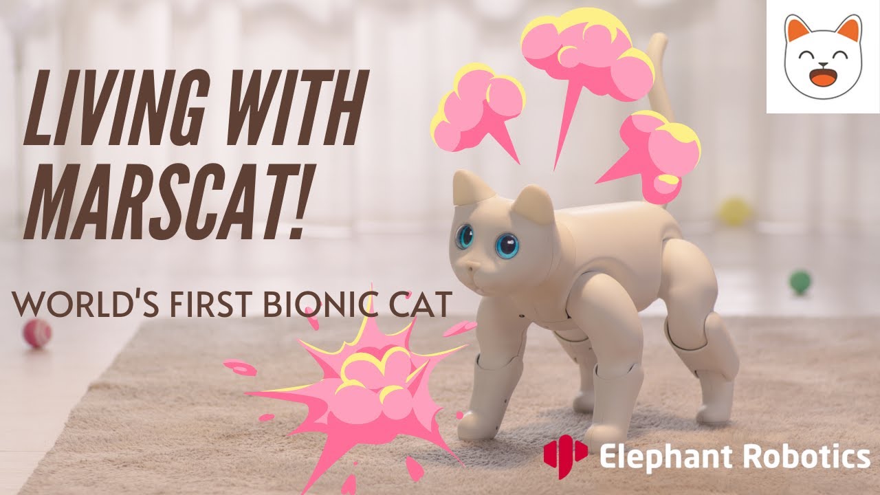 Hot Selling Now | MarsCat- A Bionic Cat, A Home Robot. - YouTube