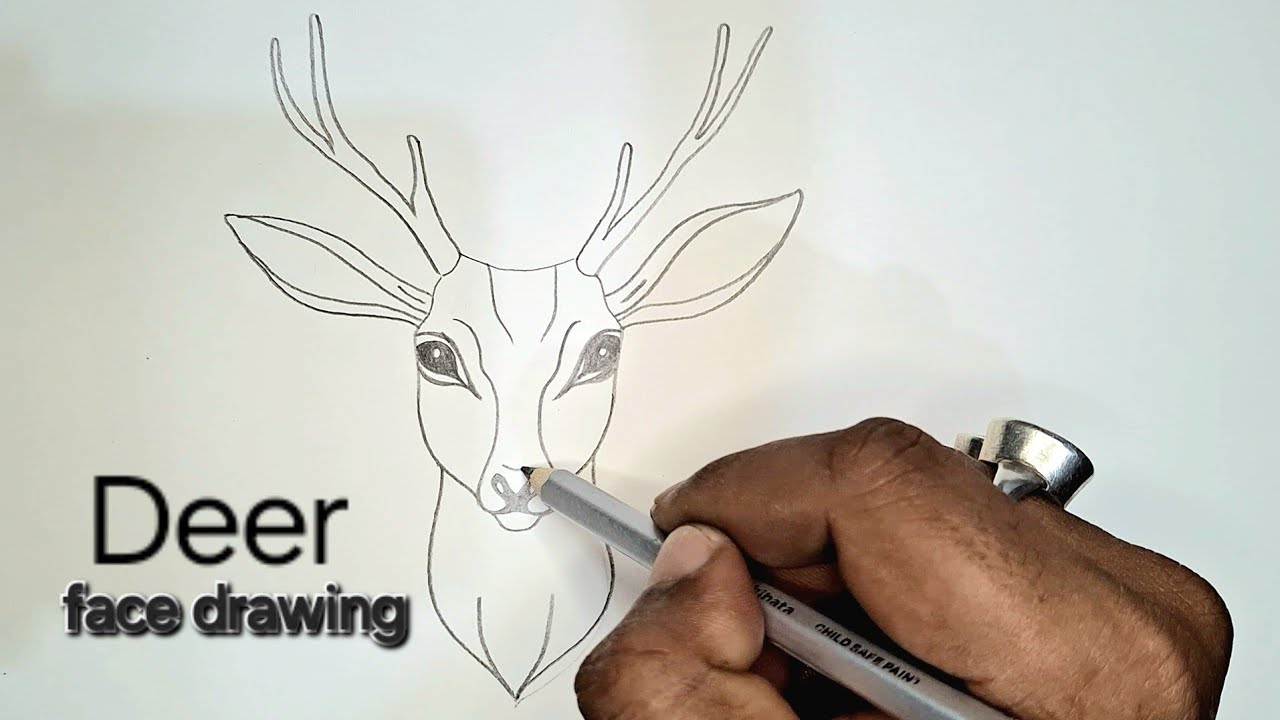 Deer face drawing//How to draw Deer face//Easy Deer face drawing ...