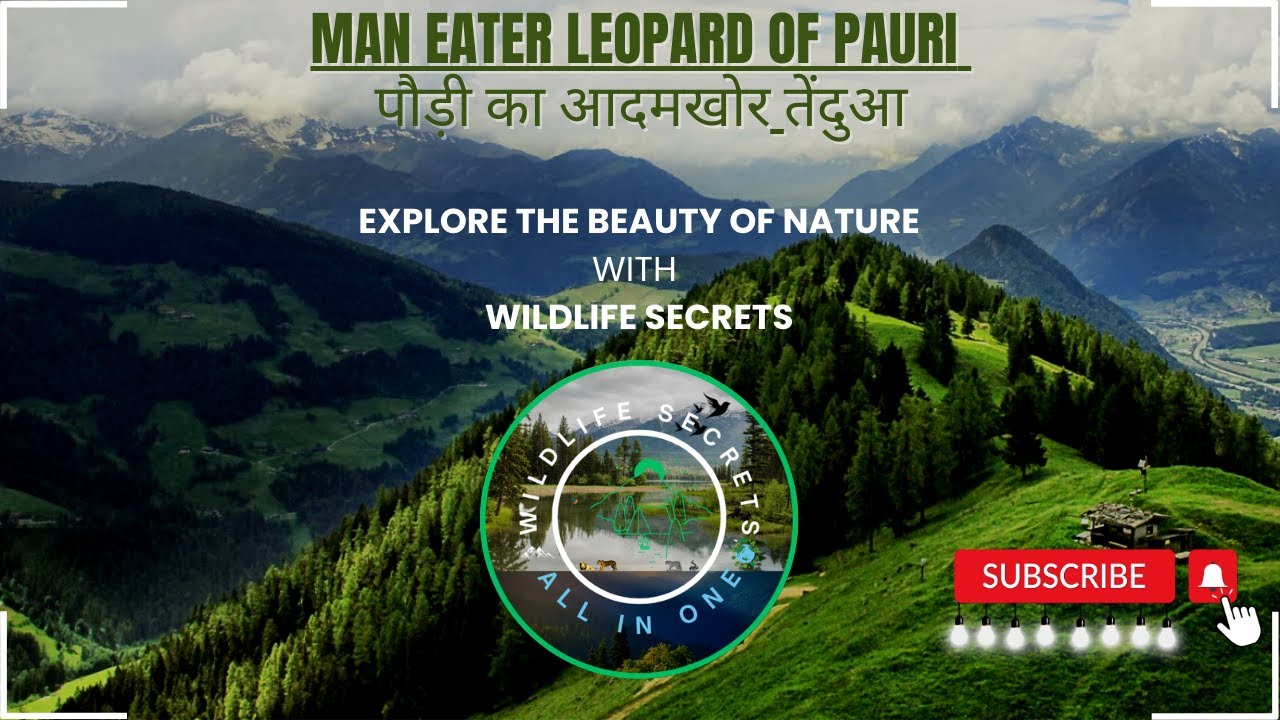 Man Eater Leopard Of Pauri | पौड़ी का आदमखोर तेंदुआ - YouTube