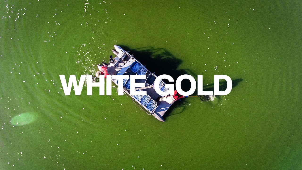 WHITE GOLD // Working at a Water Driving Range - YouTube