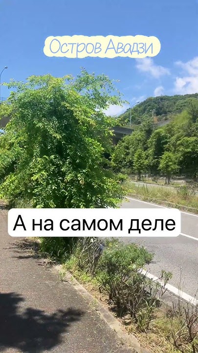 Интересный факт о Японии япония фактыомире япония влог