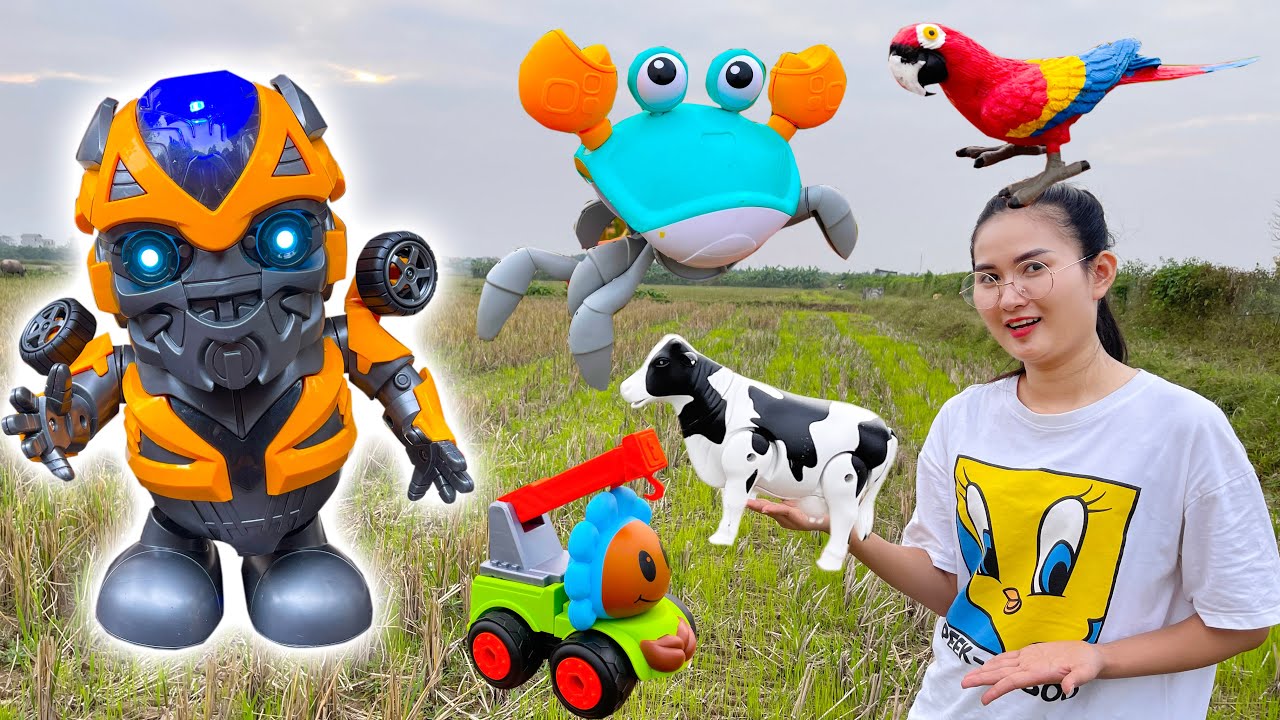 Changcady đi chăn bò, tìm được rất nhiều đồ chơi con vật, robot biết ...