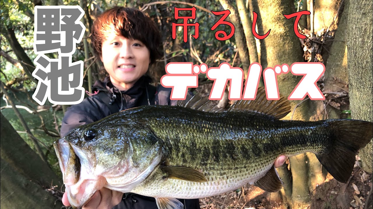 【エグダマ】【DJIG】今流行りの釣りででかい魚が！ - YouTube