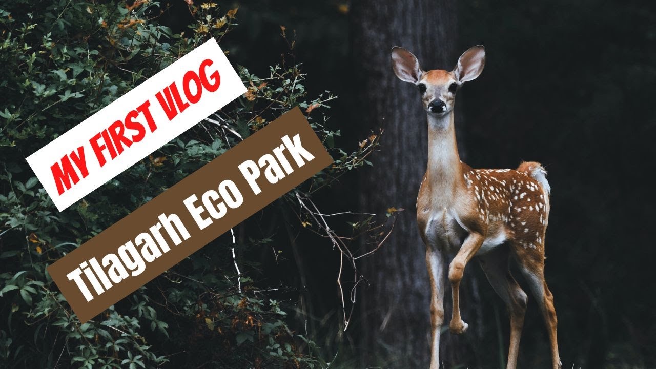 Sylhet Eco Park Natural View | My First Vlog | Travel With Habib - YouTube