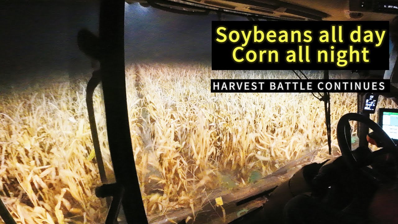 Finish Soybean Harvest | FIRST NIGHT Corn Harvest run in the S780! 🌽 ...