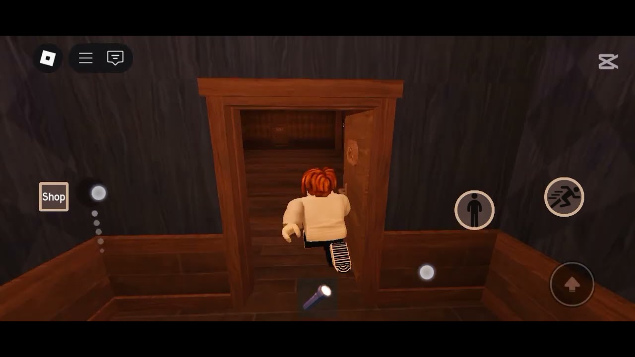 playing a Roblox game called Run away Doors Next bot - YouTube