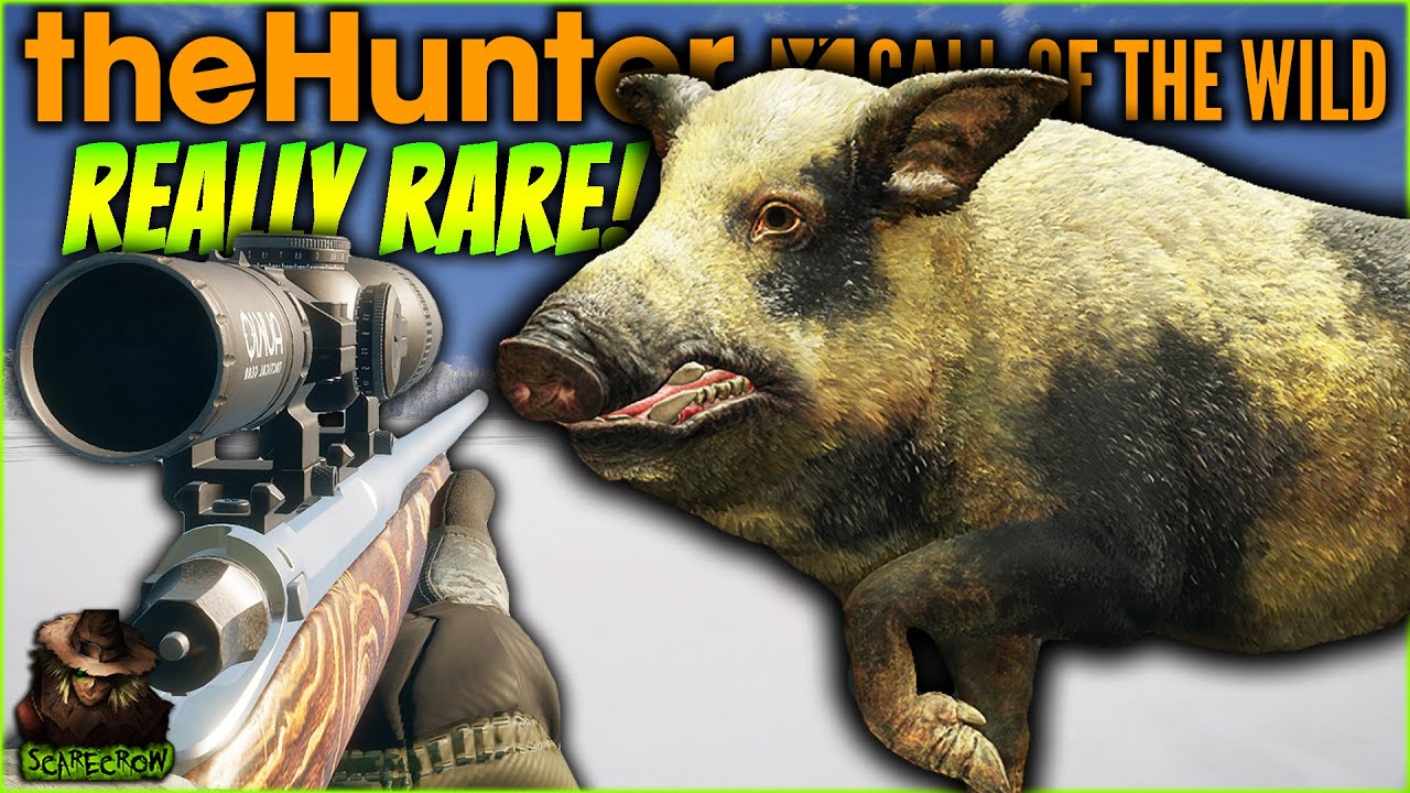 We Hunted A CRAZY Rare Black gold Wild Boar! Call of the wild - YouTube
