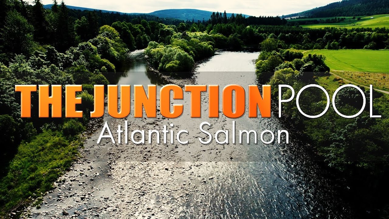 The Junction Pool at Ballindalloch Castle River Spey - YouTube