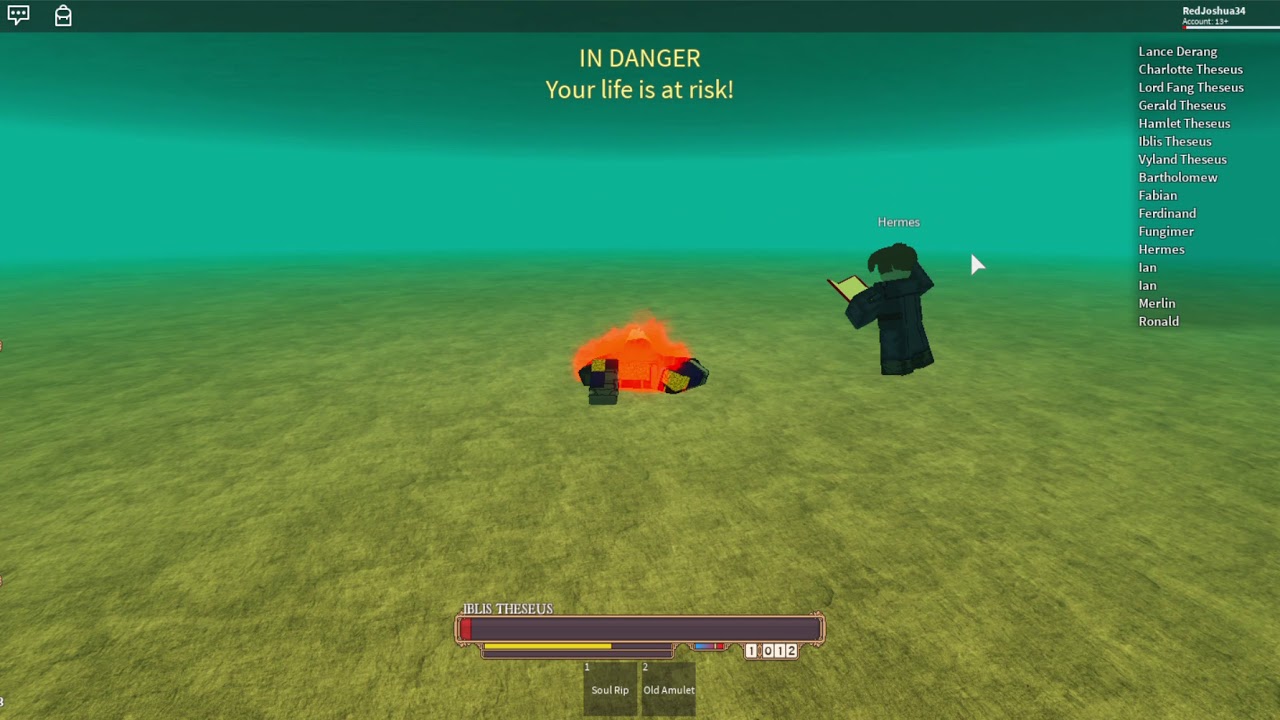 Roblox rogue