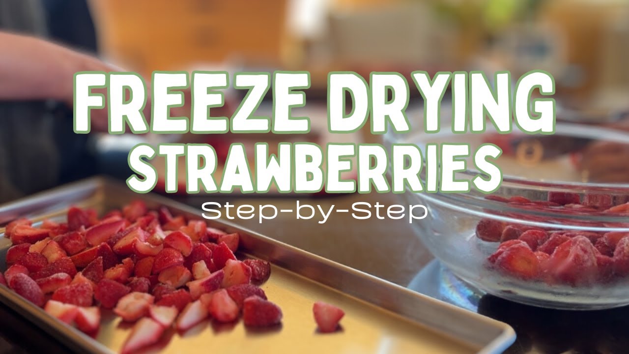 Freeze Dried Strawberries - From freezer to pantry - YouTube