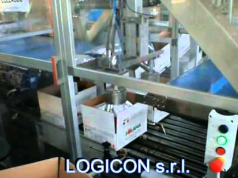 Logicon - Complete line of case packing bags, wrapping and palletizing cartons - YouTube
