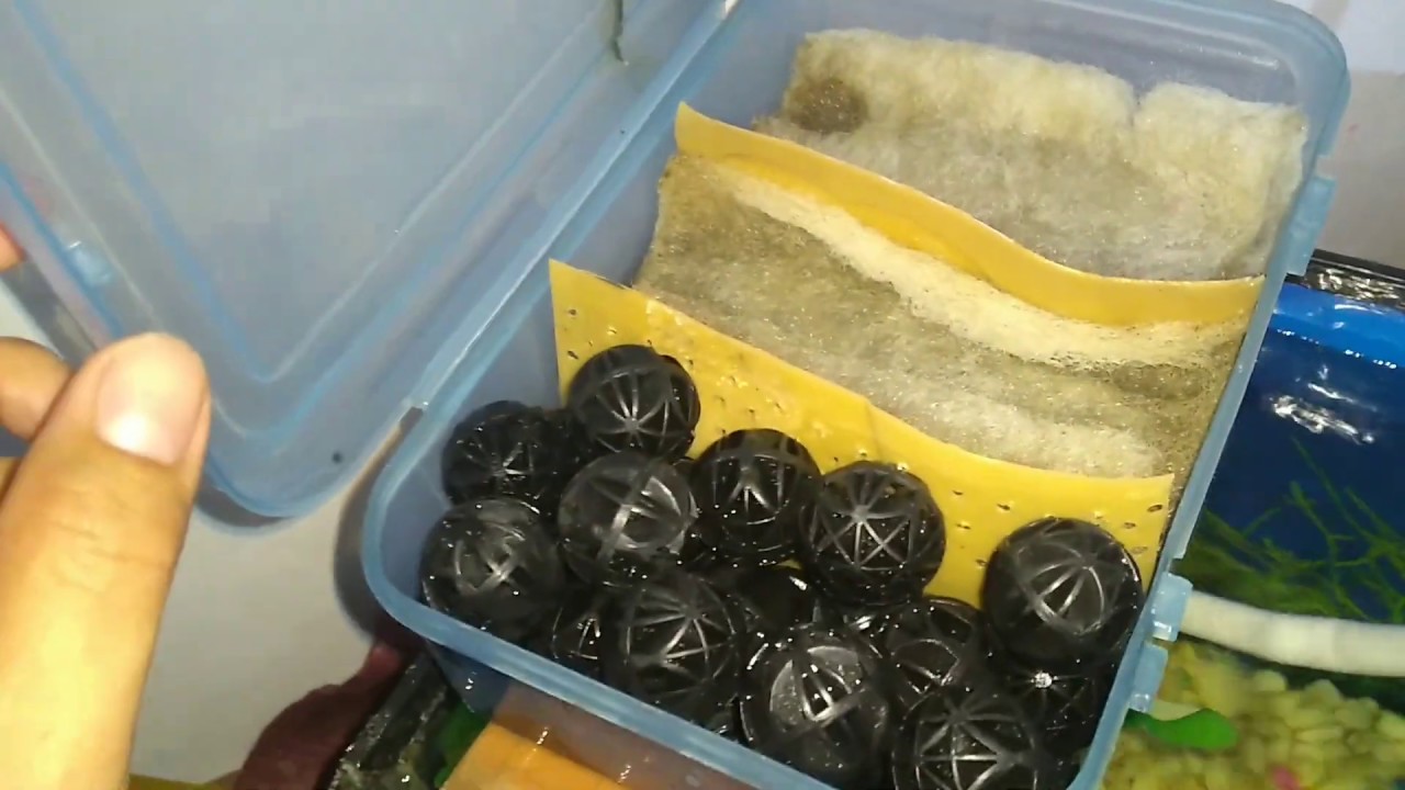 15 Days Genuine review of my DIY OVERHEAD FILTER - YouTube