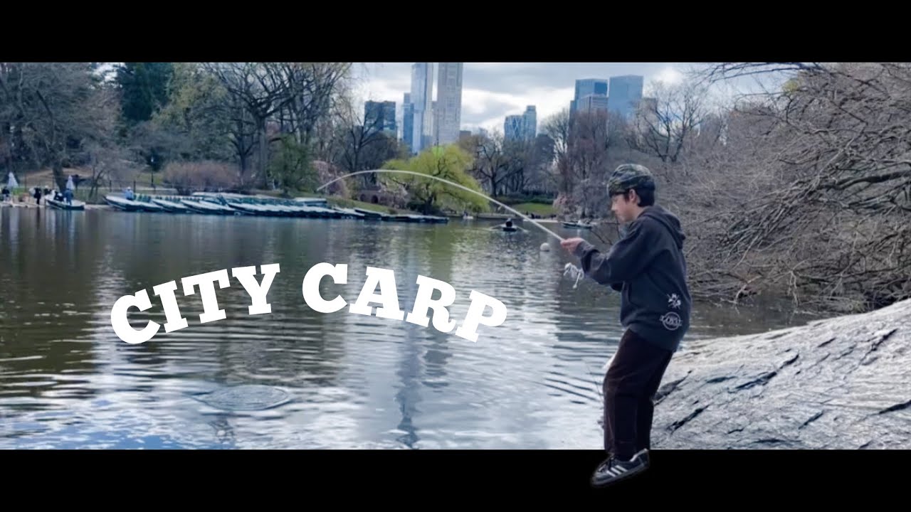 City Carp Fishing In New York City! - YouTube