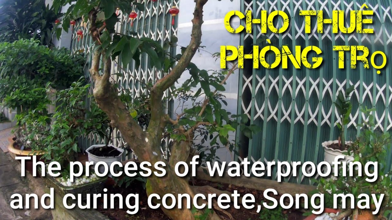 The process of waterproofing and curing concrete ,Song May hostel |bảo ...