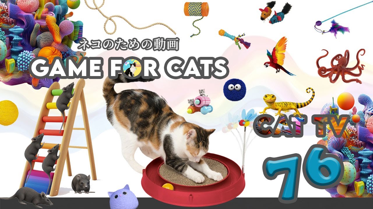 CAT Games | Mouse, String, Bird, Frog, Wire, Ant, Squirrel GAME FOR ...