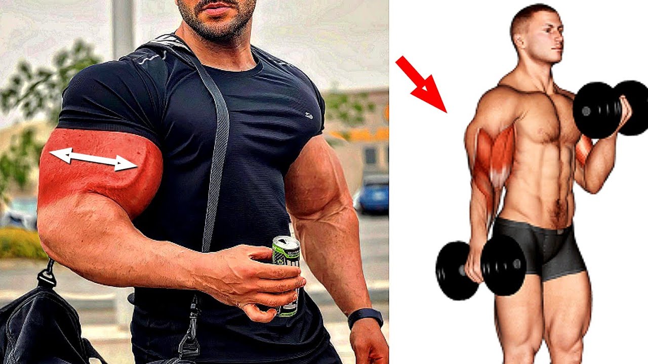 Best Arm Gym Exercises for Bigger Arms Building in 30 Days - YouTube