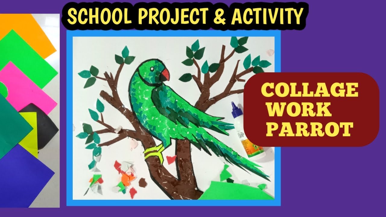 Collage work -parrot. - YouTube