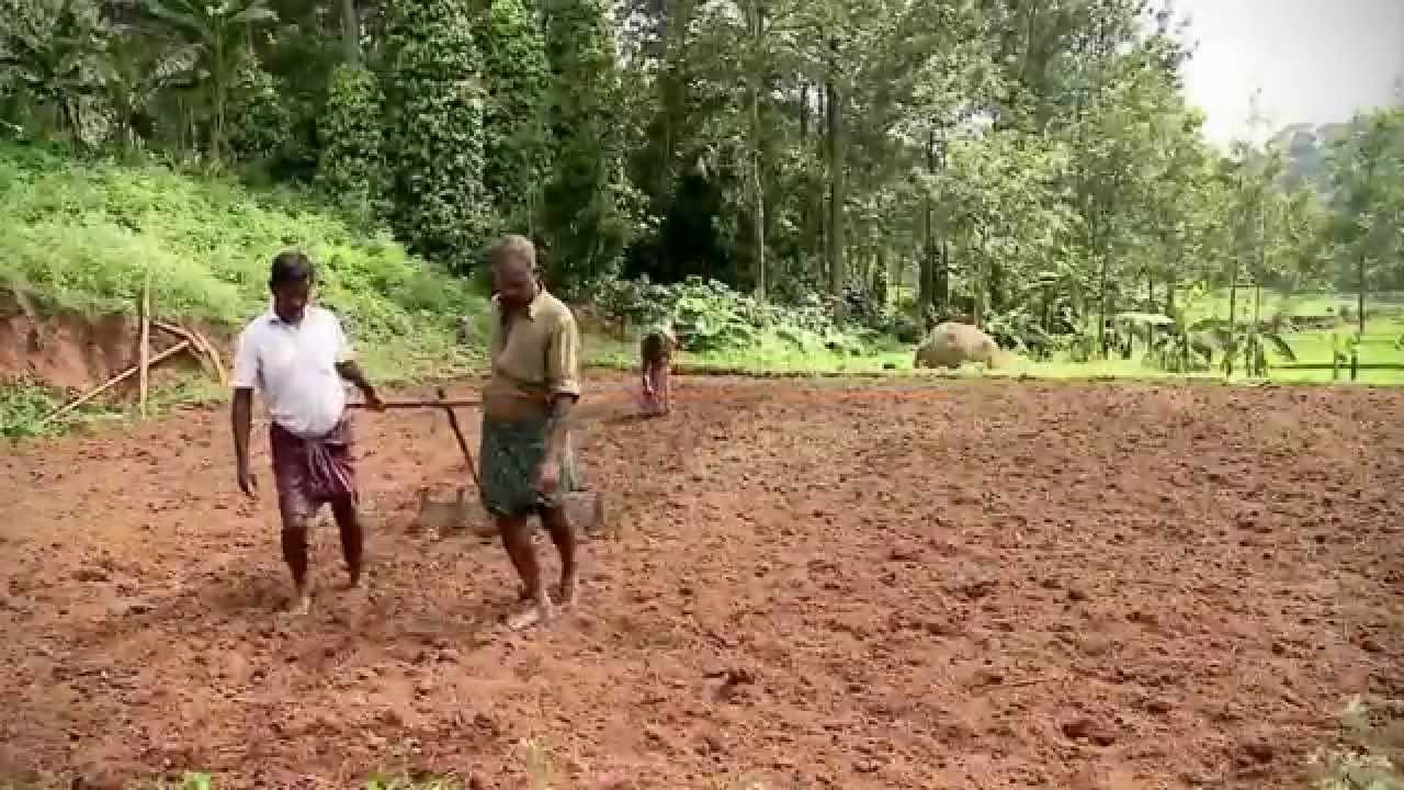 Mint index of rural distress shows deepening crisis in villages - YouTube