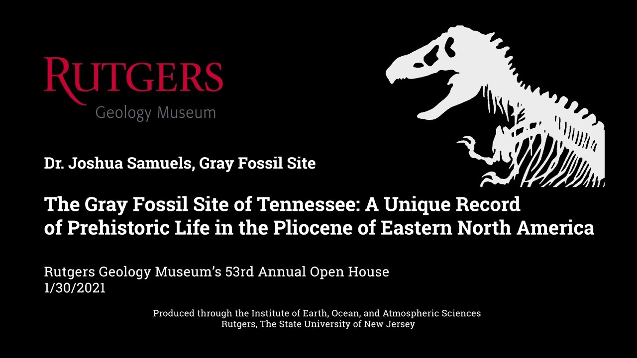 The Gray Fossil Site of TN: A Unique Record of Prehistoric Life in the ...
