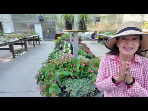 What I’d Plant Right Now (Heat-Proof Plants That Thrive All Summer!)