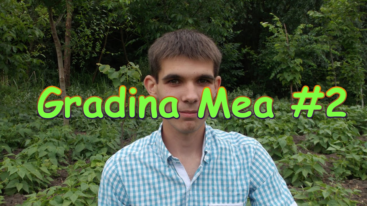 Gradina mea #2 - YouTube