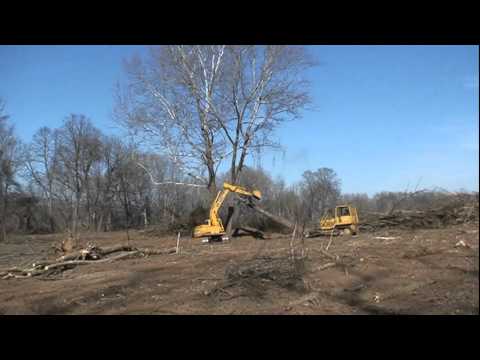 Large Tree Falling.mpg - YouTube