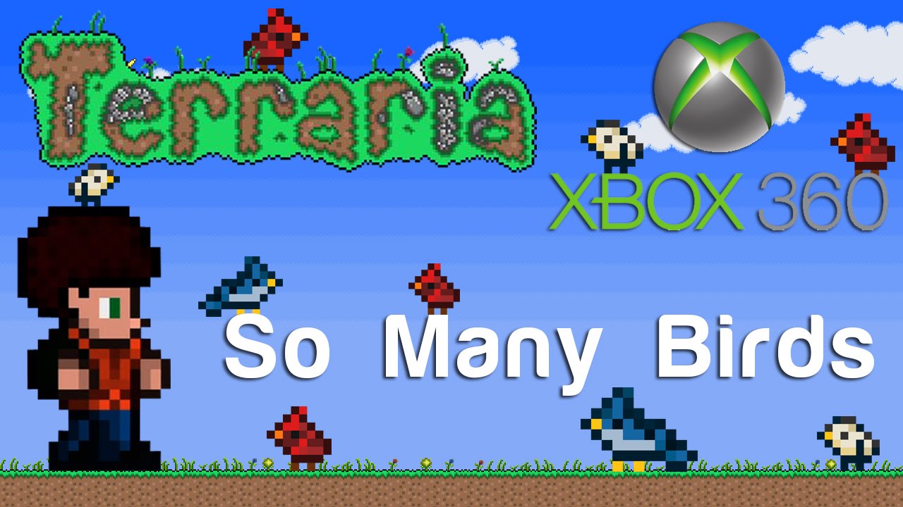 Terraria Xbox - So Many Birds [119] - YouTube
