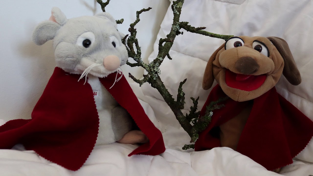 TRUDI erklärt St. Martin - YouTube