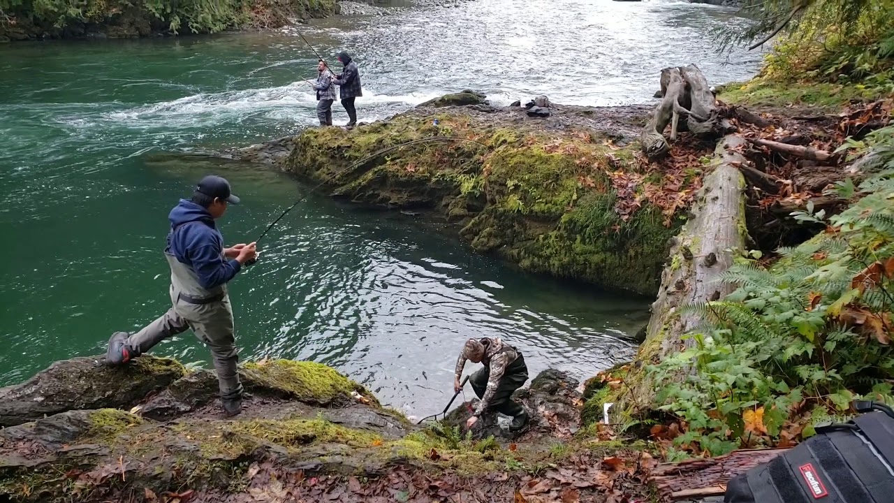 Salmon Fishing 2019 | Chilliwack River B.C Canada - YouTube
