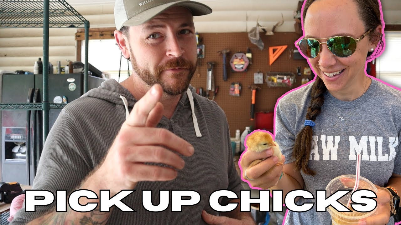 HOW TO PICK UP CHICKS - YouTube