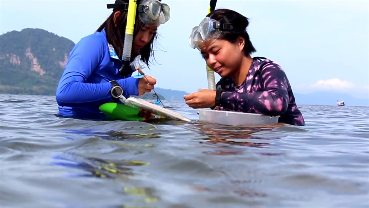 Why you should study abroad with ISDSI in Thailand! - YouTube