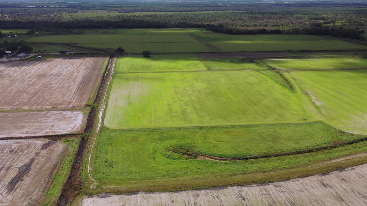 SVN Saunders - Clay Gully Farm & Ranch - YouTube