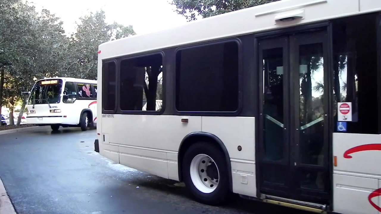 Disney Transport NovaBus LFS & TMC RTS-06 at Walt Disney Dolphin Hotel ...